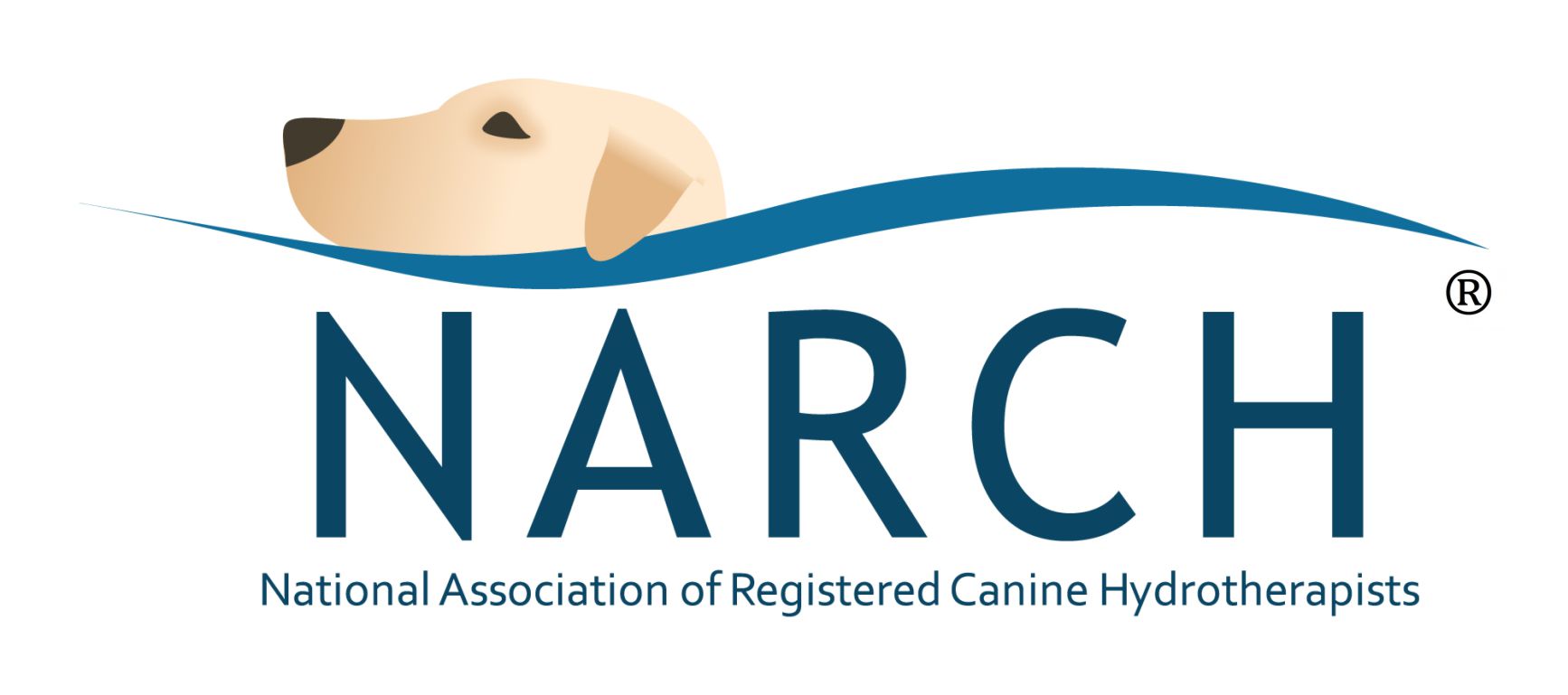 NARCH | National Association of Registered Canine Hydrotherapists - Media